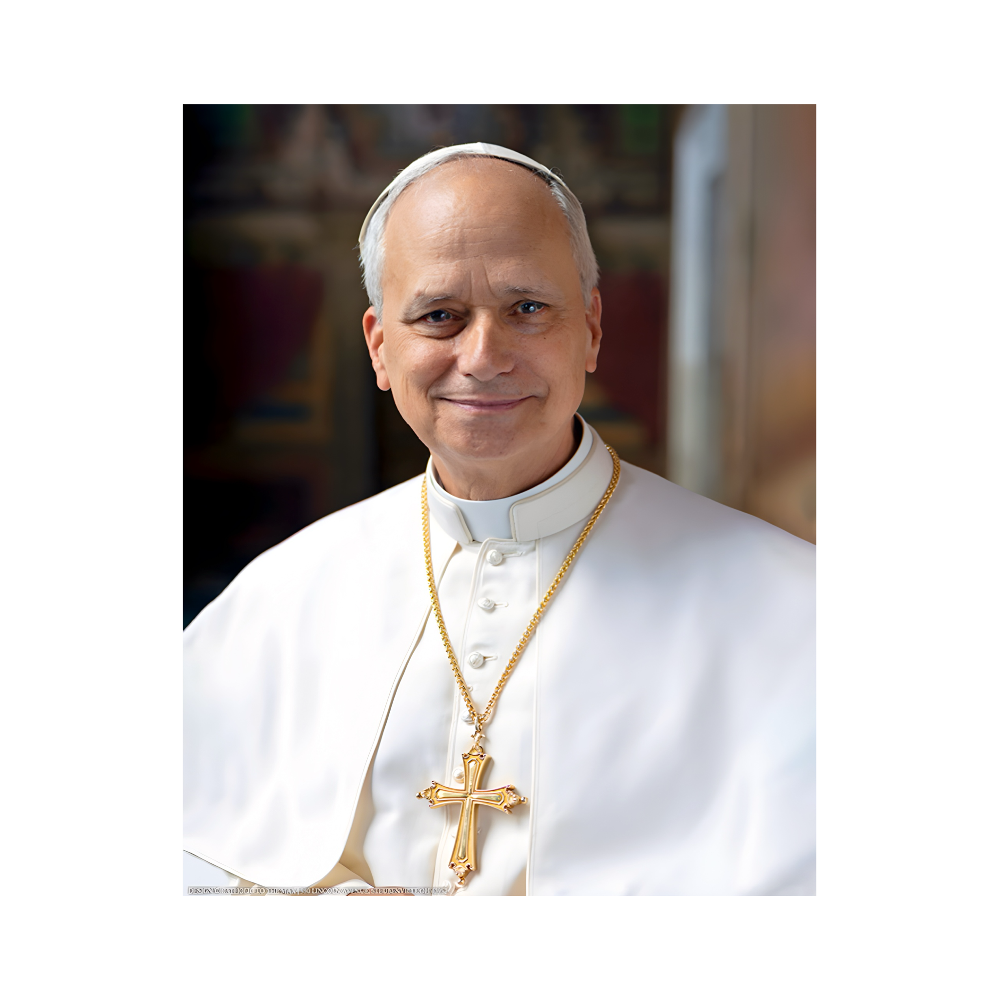 Pope Leo XIV Formal Portrait Sleeved Print | PRI-1879 – Ste. Emilion Church Goods