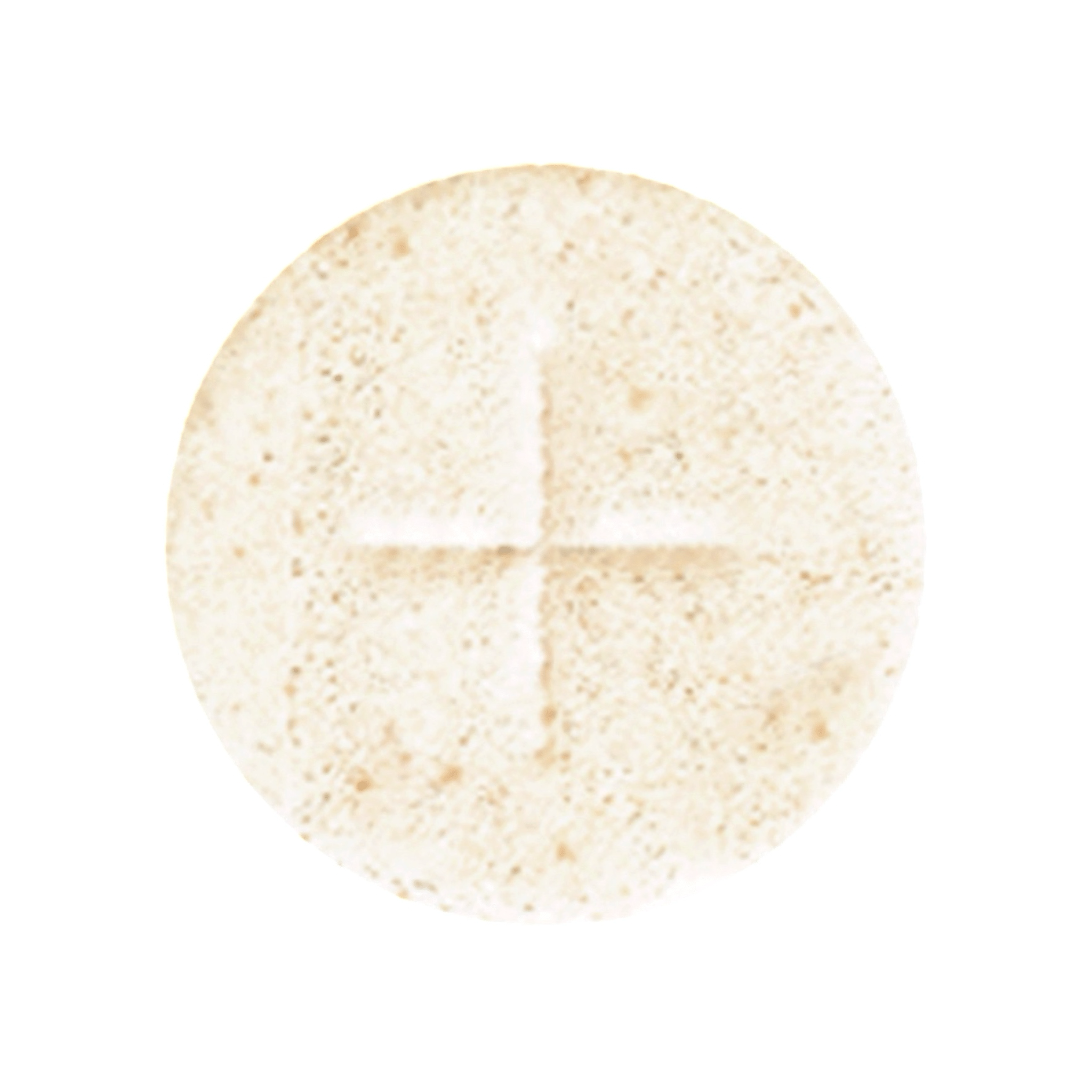 Altar Bread | Whole Wheat Host | 1-1/8" (29mm) – Ste. Emilion Church Goods